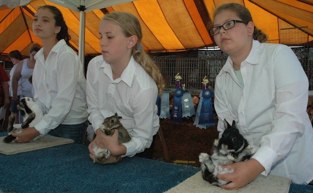 Silvana Fair draws thousands | Arlington Times