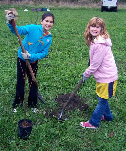 Girl Scouts help make the world a better place by planting trees ...