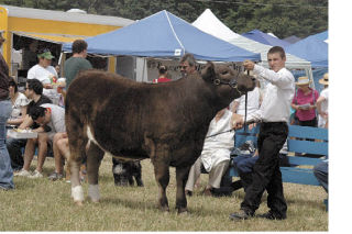 Second day in 61 years with a few sprinkles of rain Saturday, July 25 ...