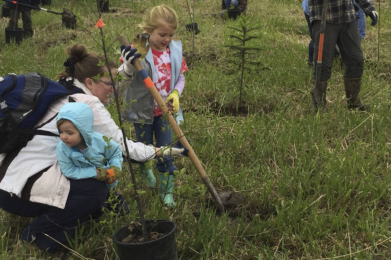 Arlington, Marysville team up for Earth Day planting event for Edgecomb ...