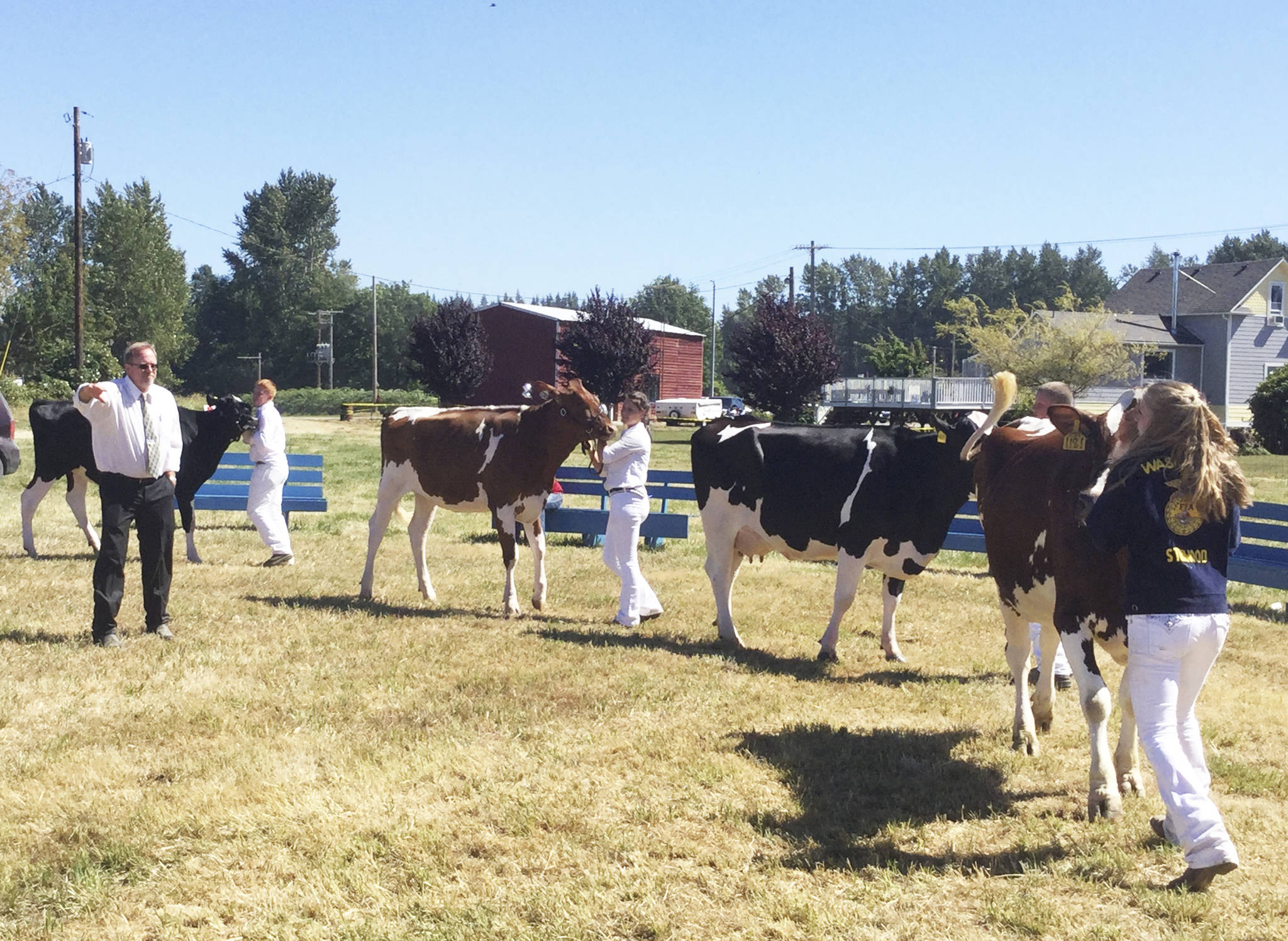 Silvana Community Fair celebrates 70th year | Arlington Times