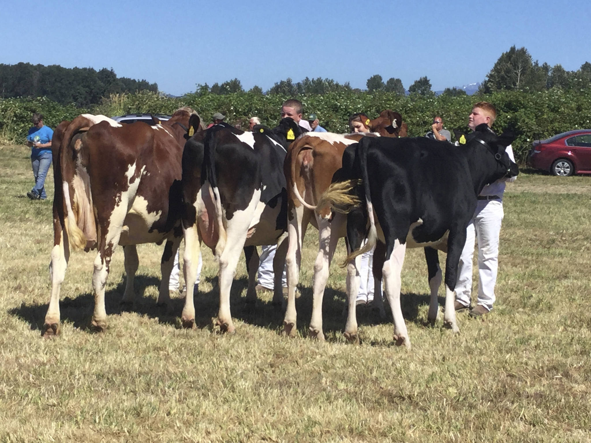 Silvana Community Fair celebrates 70th year | Arlington Times